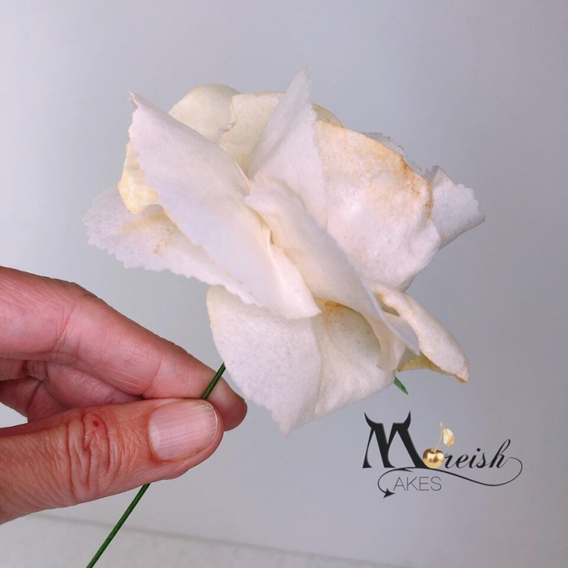 More Curl | Wafer Paper Curler | Lollipop Cake Supplies