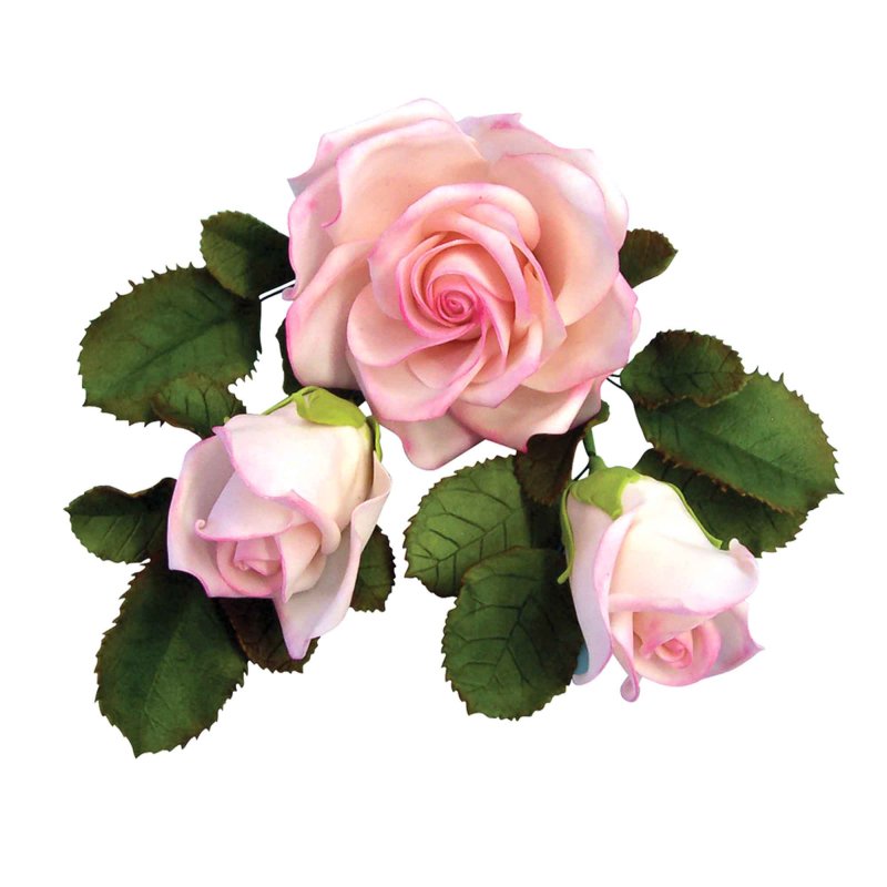 Jem Large Rose Cutter Set - Set of 4 | Lollipop Cake Supplies