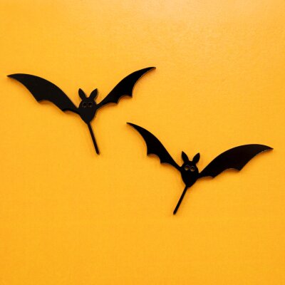 Acrylic Cupcake Charm/Topper - Halloween Twin Bats | Lollipop Cake Supplies