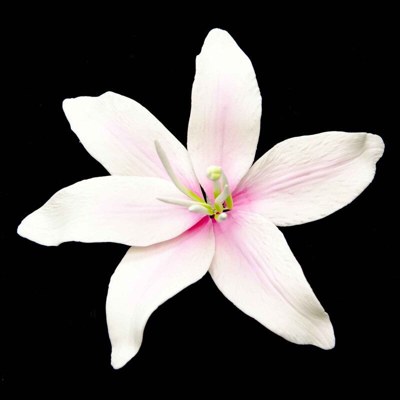 Tiger Lily Sugar Flower - Pink | Lollipop Cake Supplies
